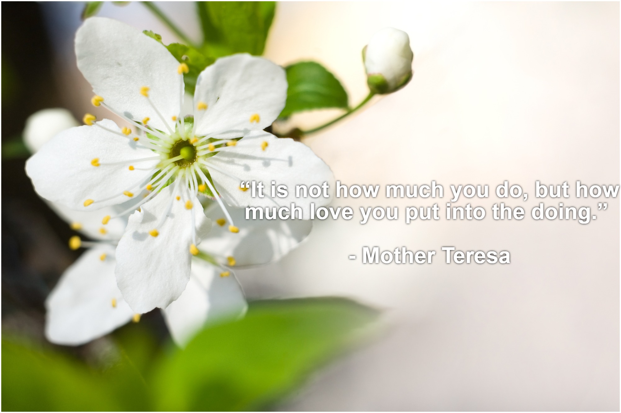 10 Inspirational Quotes For Family Caregivers | SeniorResource